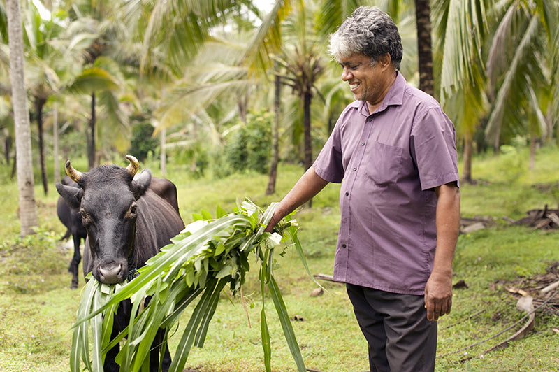 Resilience and Regeneration in Sri Lanka's Serendipol – Dr. Bronner's UK
